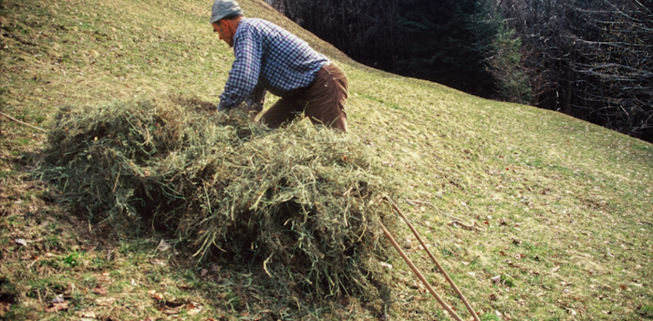 Košnja in spravilo sena nekoč | Podrobnosti vsebine | Triglavska zakladnica